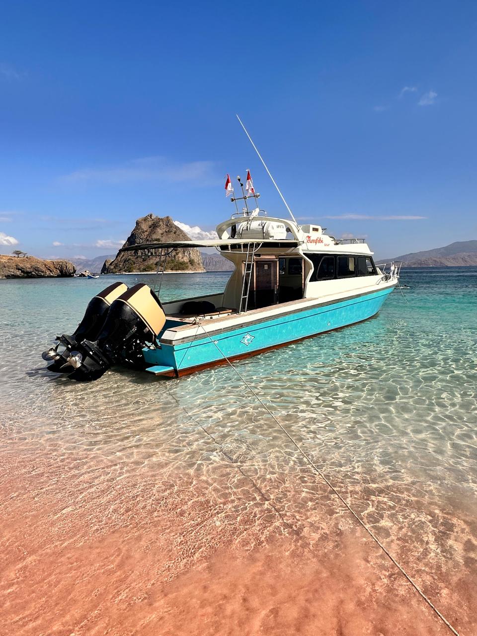 Speedboat Options - RELIABLE SNORKELING COMPANY ARROUND KOMODO